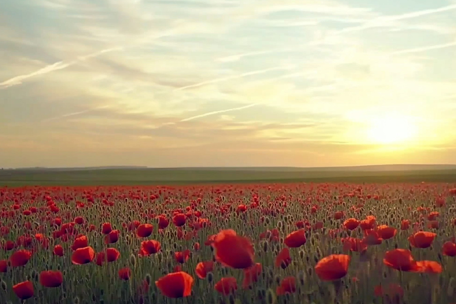 Sunalta Scoop for November 3 -7, 2025 - Sunalta School